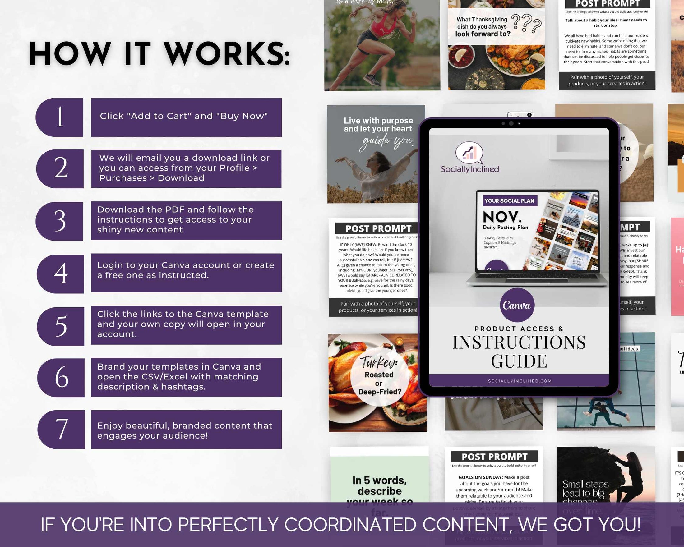 November Daily Posting Plan | 3 Posts a Day | Your Social Plan ...